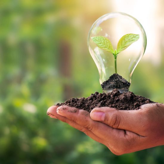 Pharmamed - Impact for life